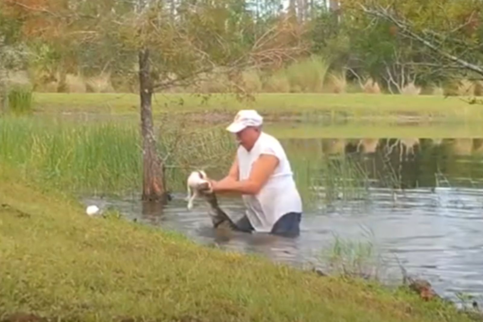 Fierce Florida Man Fights An Alligator With Bare Hands And The Reason ...