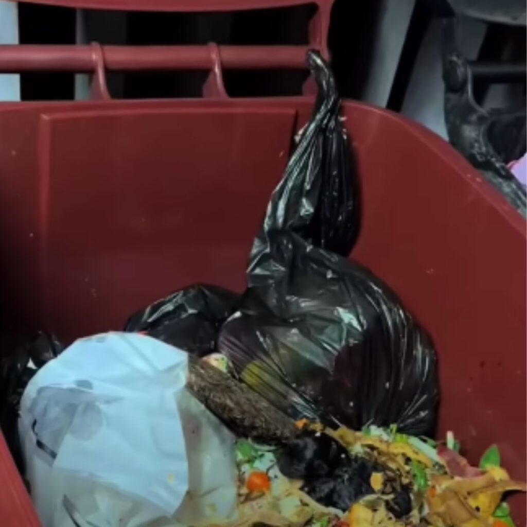 Man Takes Out Trash And Discovers Something Truly Shocking In The ...