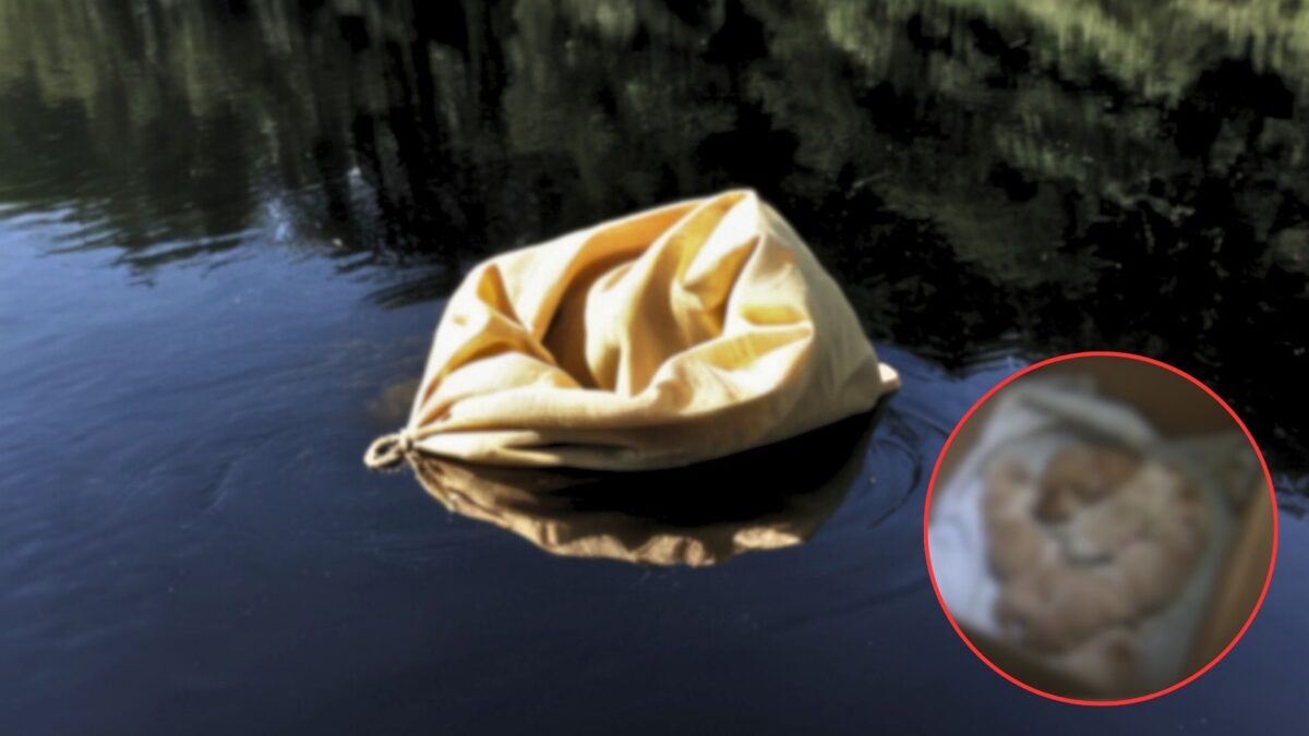 Kayakers Spot Mysterious Floating Sack And Hear Heart-Wrenching Cries ...