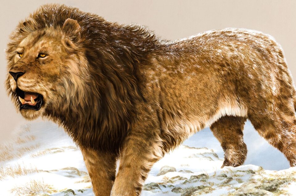 15 Fascinating Mammals That Are Gone Forever And We’ll Never See Again