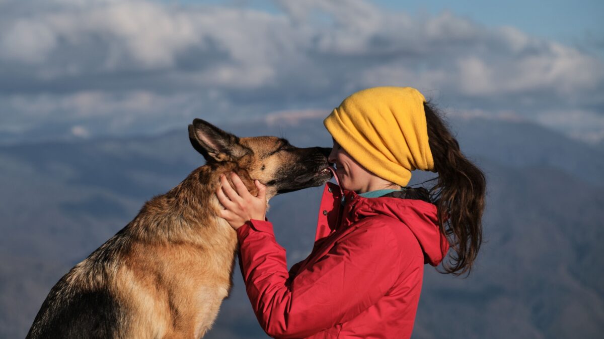 10 Dog Breeds That Connect With Humans On The Deepest Levels