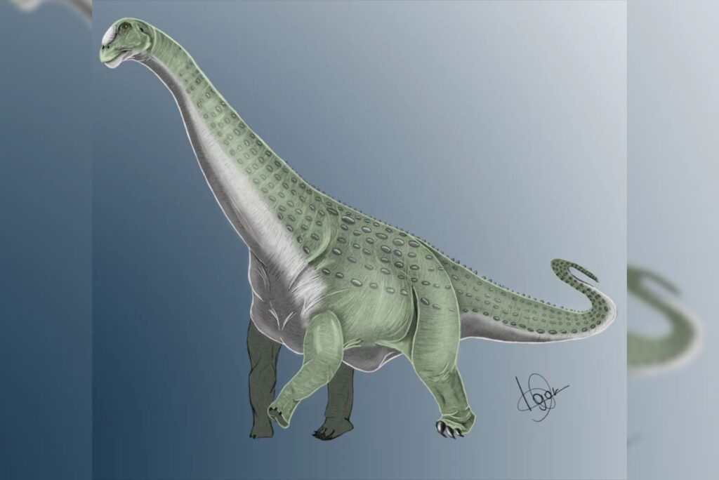 8 Of The World’s Biggest Dinosaurs You Won’t Believe Once Roamed The Earth