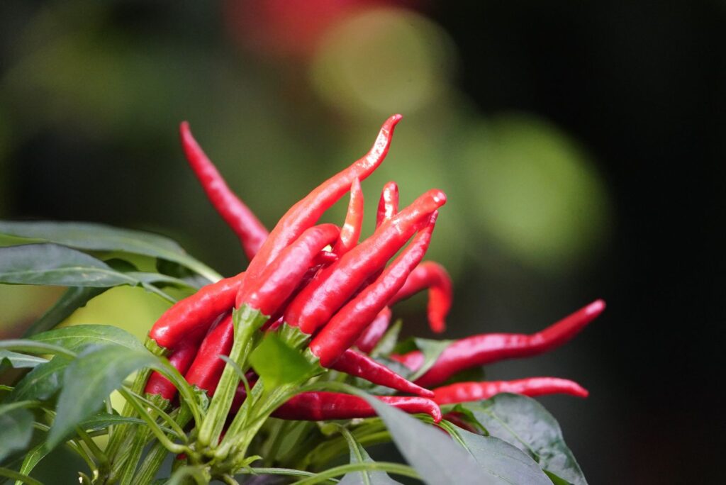 14 Scents That Will Definitely Keep Mice Out Of Your Home