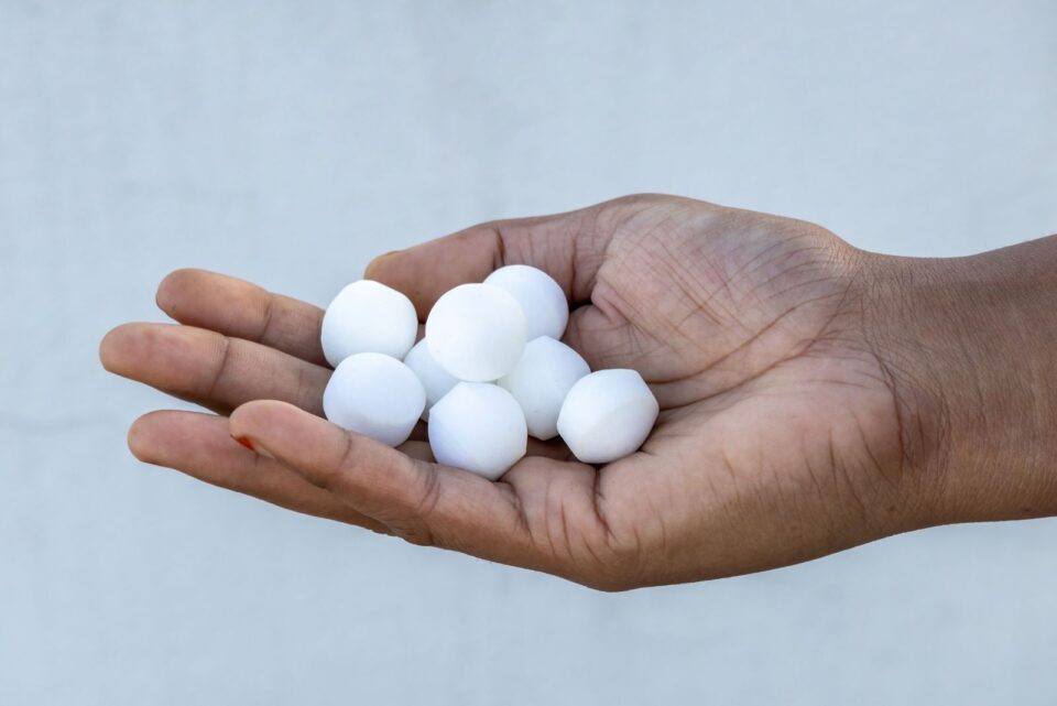 14 Scents That Will Definitely Keep Mice Out Of Your Home