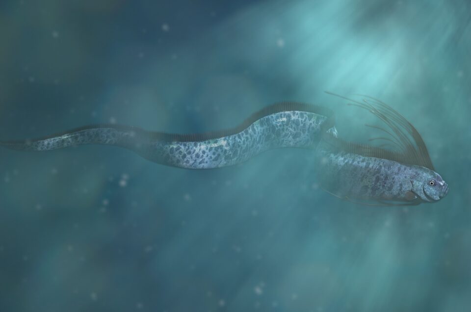 13 Largest Sea Monsters You Won’t Believe Are Real