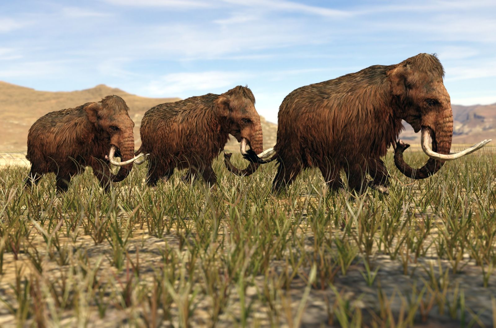 13 Resilient Animals That Lived Through The Ice Age