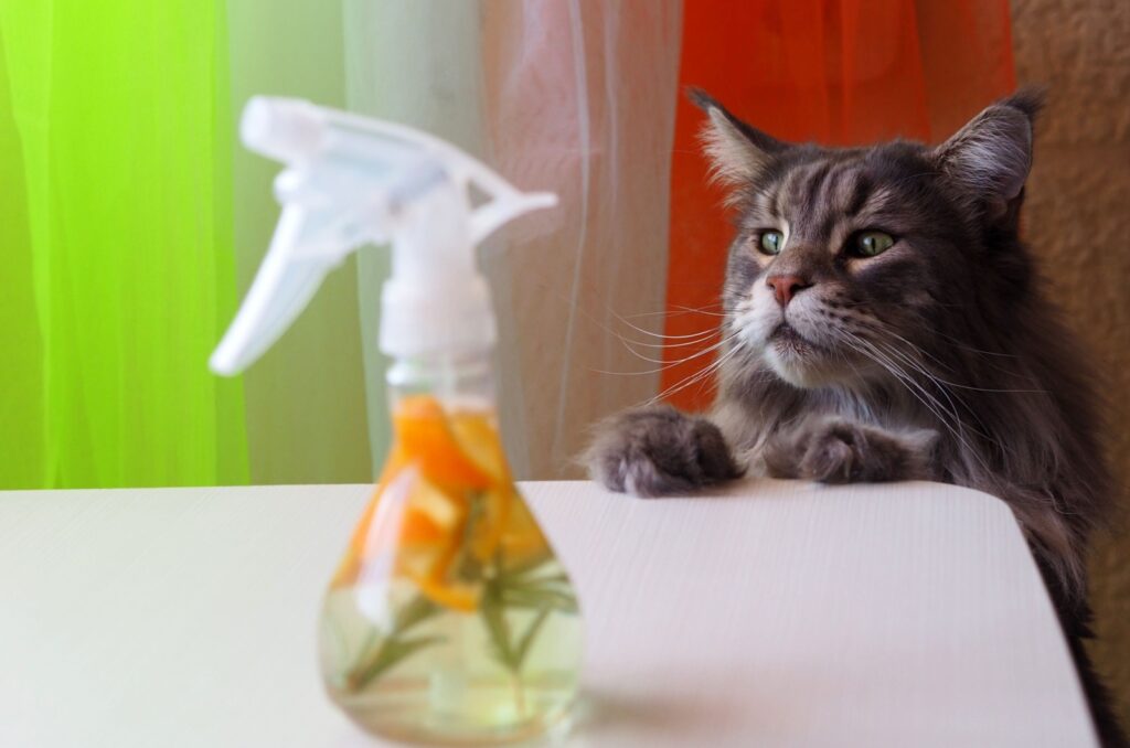 15 Smells Cats Can't Stand (And 5 Scents They Adore!)