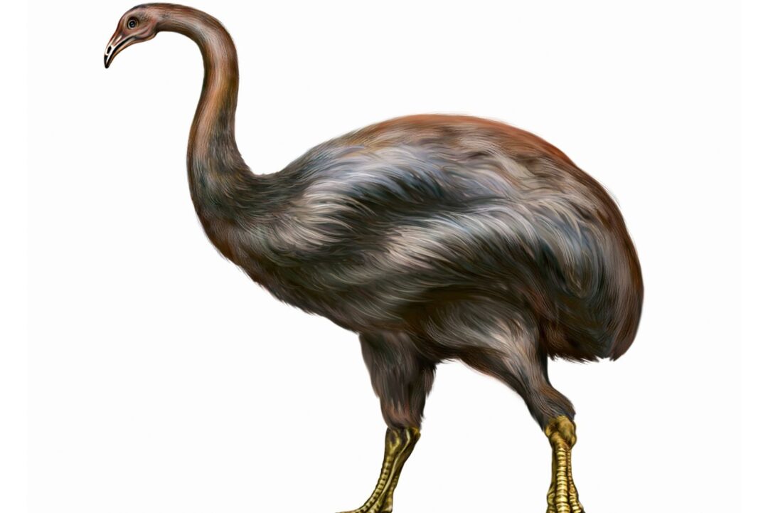13 Extinct Animals Scientists Are Trying To Bring Back