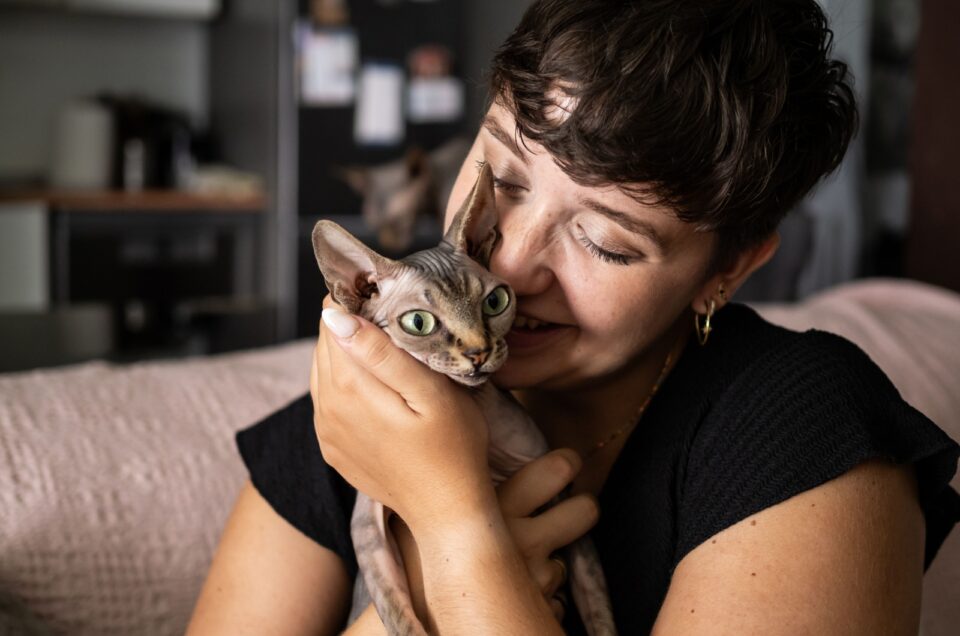 9 Most Affectionate Cat Breeds That Will Steal Your Heart