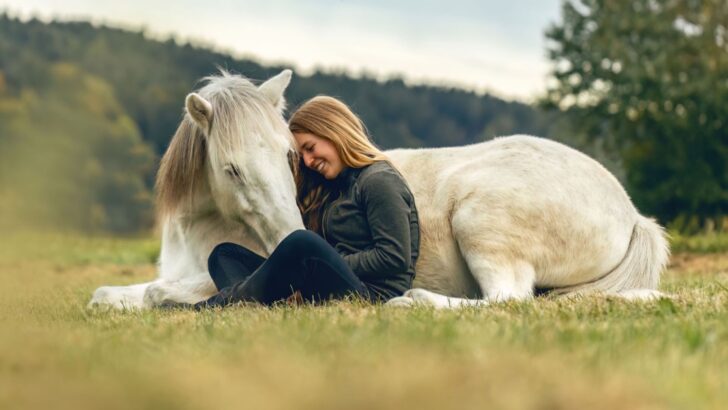 10 Heartwarming Reasons Why The Bond Between Horses And Humans Is Special
