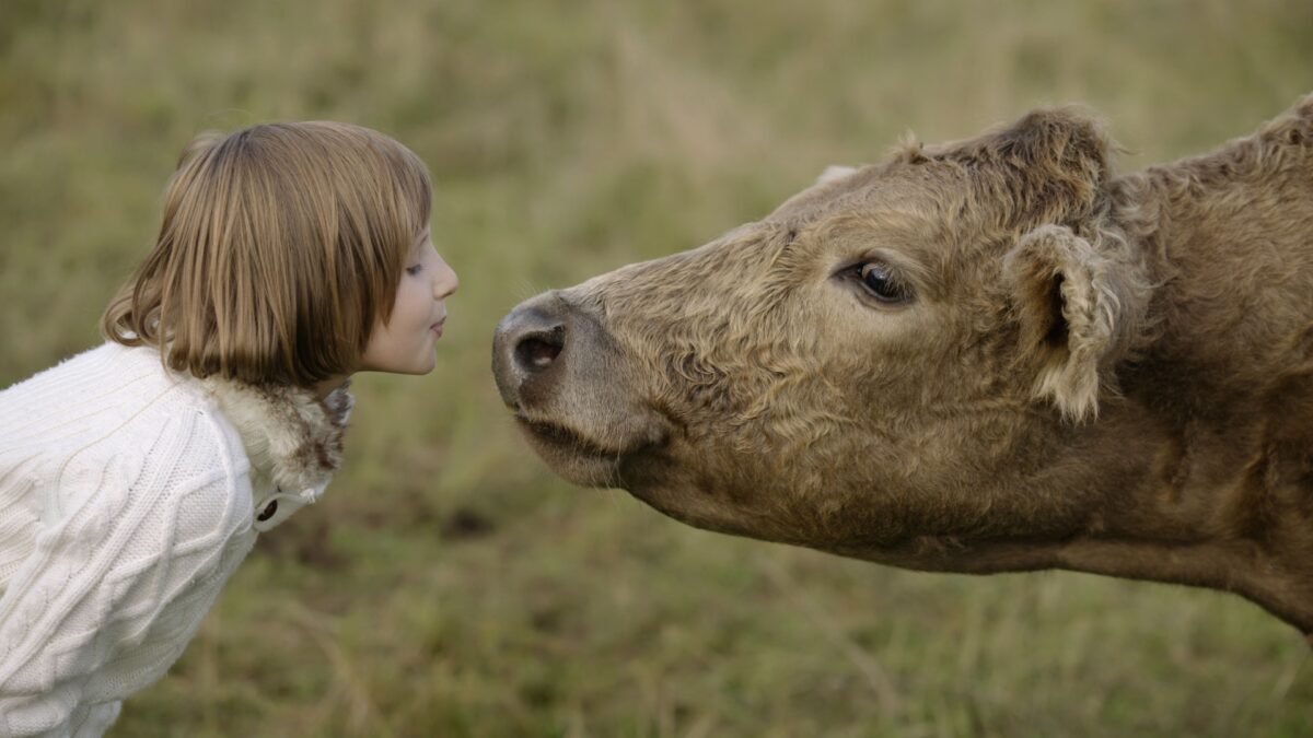 12 Animals That Connect With Humans On The Deepest Levels