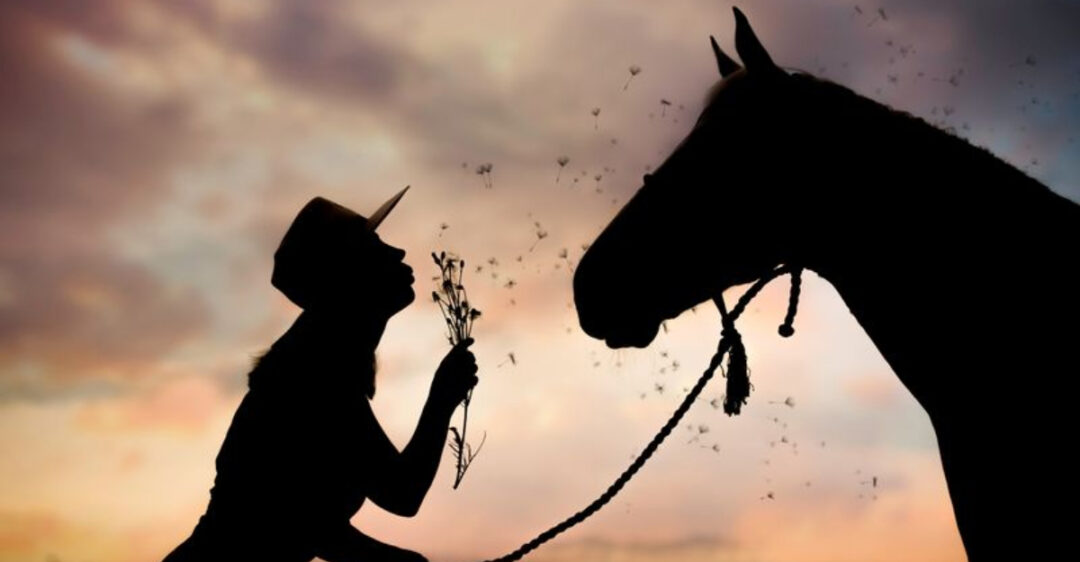 12 Ways Horses And Humans Connect Like No Other