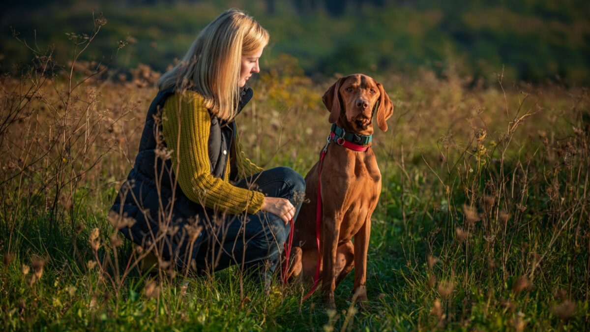13 Best Dog Breeds For Active People And Outdoor Adventures