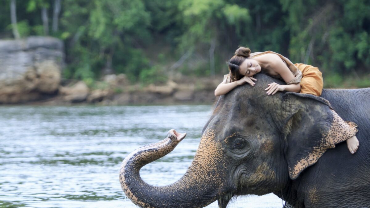 14 Wild Creatures With Unexpectedly Sweet Personalities