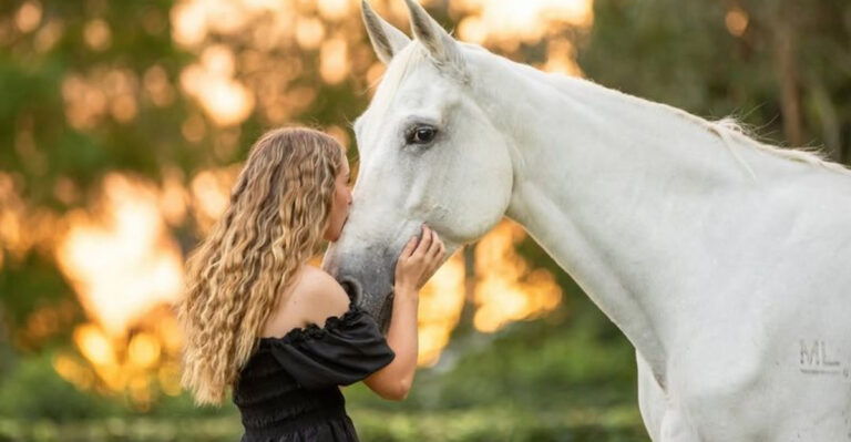 14 Fascinating Horse Facts That Will Make You Love Them Even More