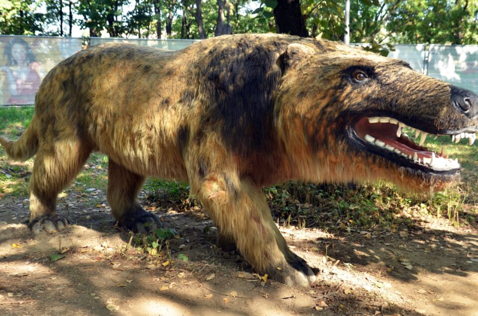 15 Terrifying Extinct Creatures You’ll Be Grateful To Never Meet