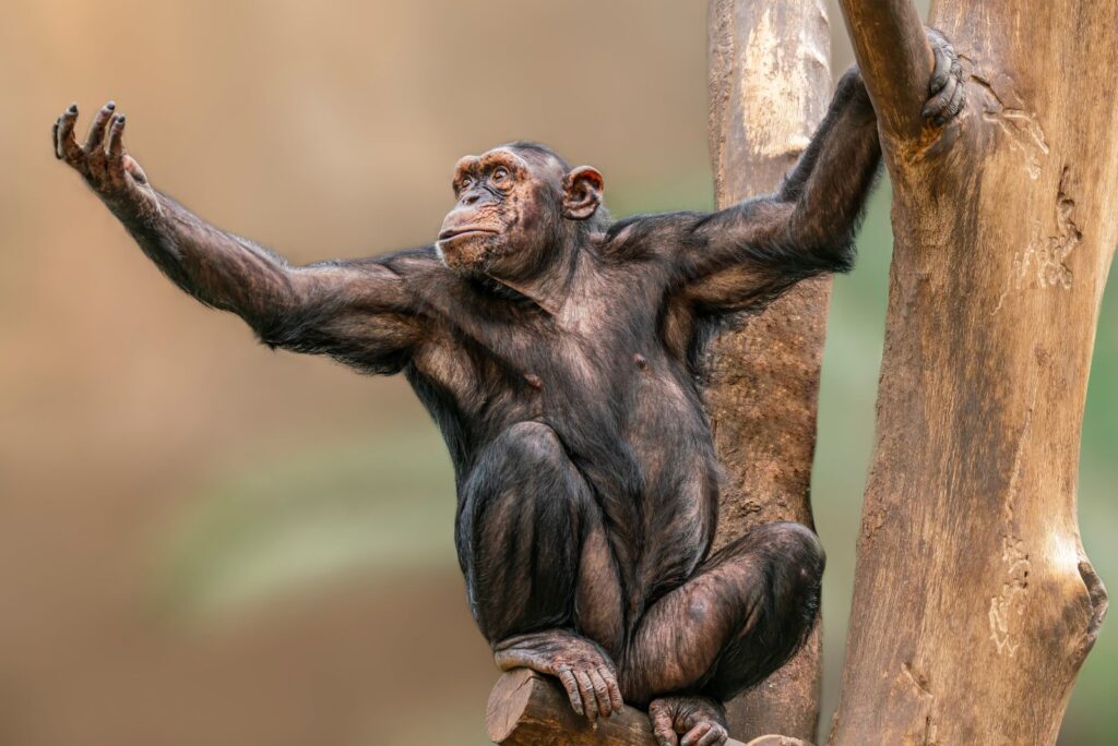 8 Surprising Animals With The Worst Memory In The World