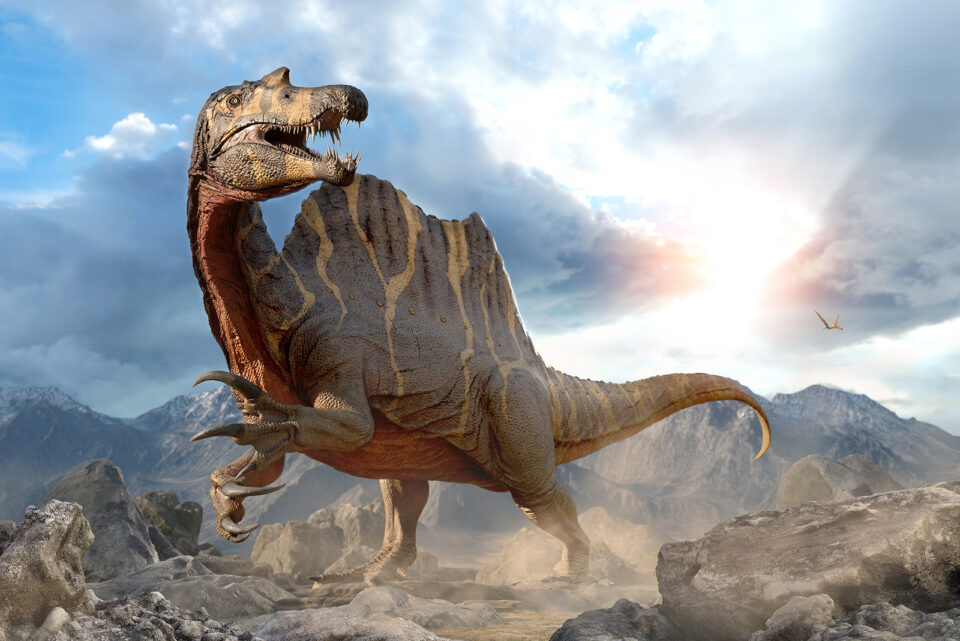 9 Of The Largest Predators In Earth's History