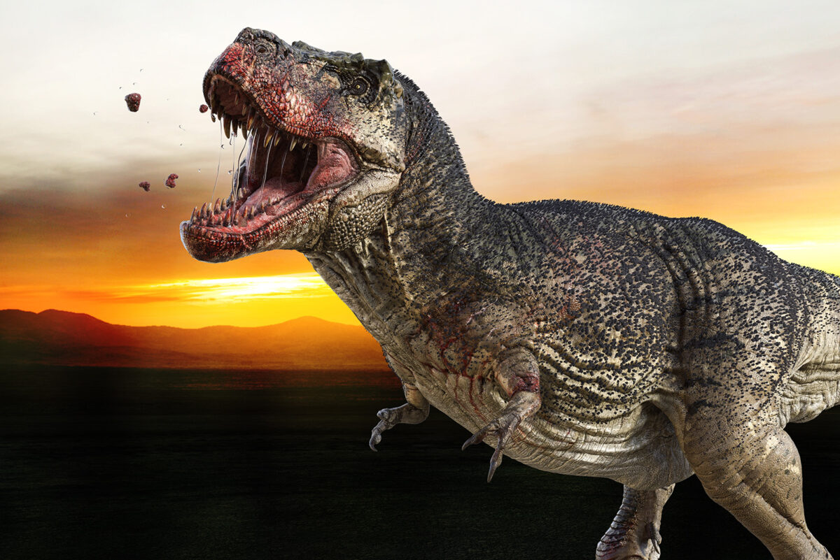 9 Of The Largest Predators In Earth's History