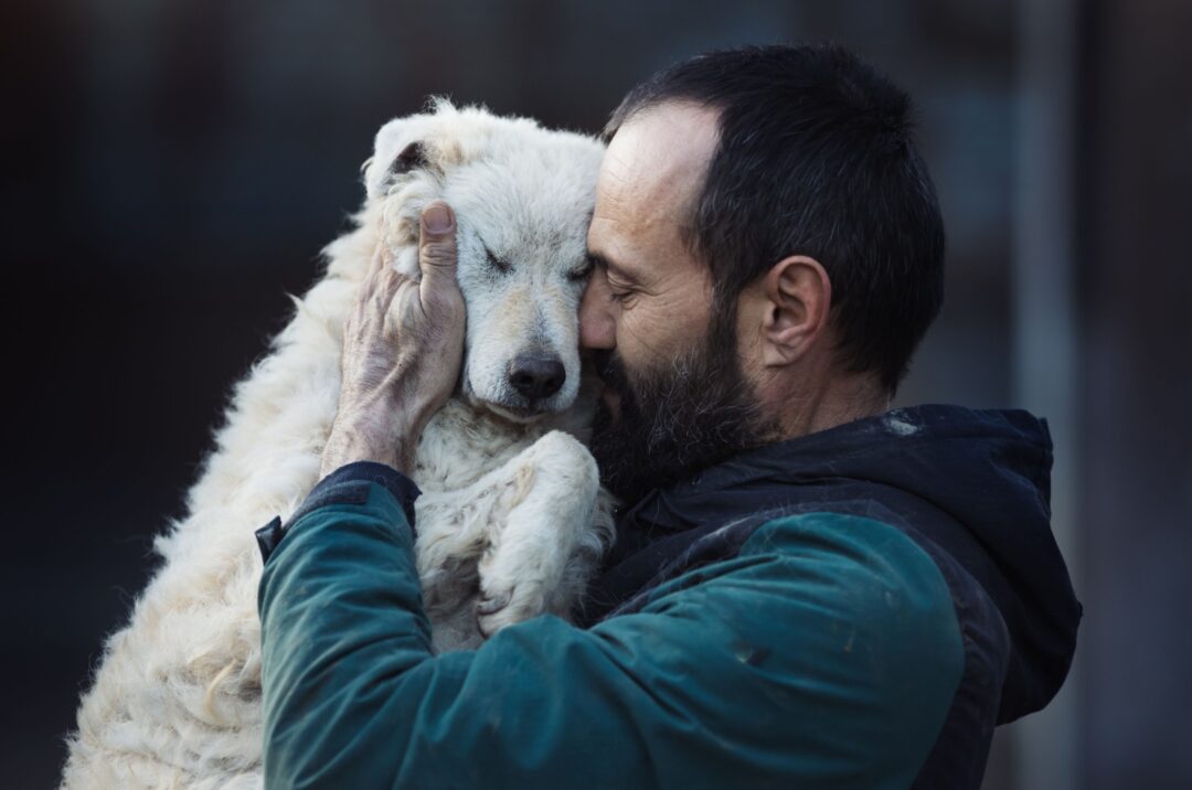 12 Animals That Connect With Humans On The Deepest Levels