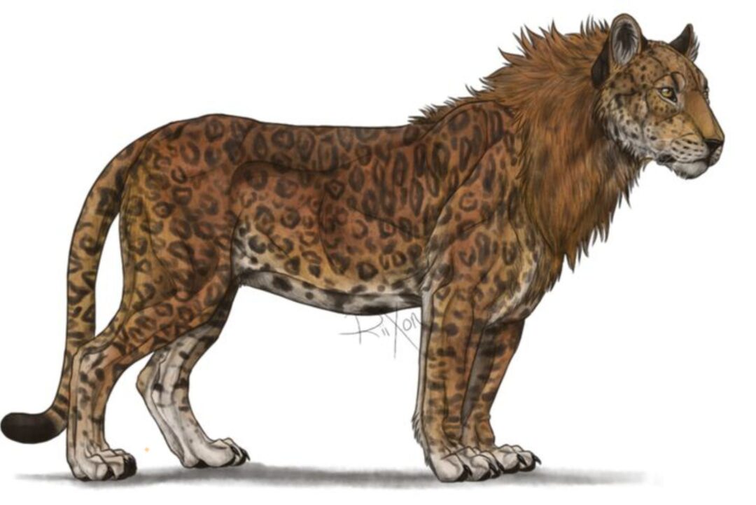 17 Hybrid Animals You Have To See To Believe
