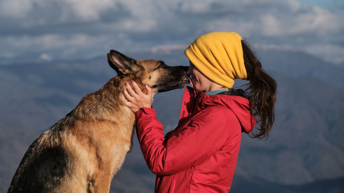 11 Dog Breeds That Consider Humans Part Of Their Pack