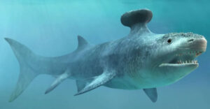 11 Types Of Sharks That Went Extinct