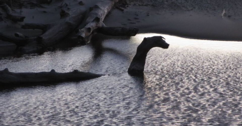 11 Mysterious Legends Of The Great Lakes' Monsters You Won’t Believe ...
