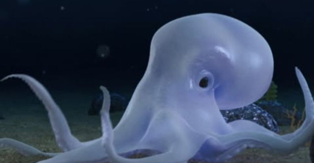 23 Incredible Creatures Found More Than A Mile Underwater