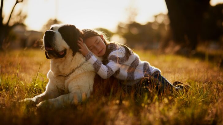 32 Dog Breeds With Sensitive Souls