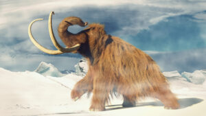 9 Ancient Animals Preserved Perfectly In Ice