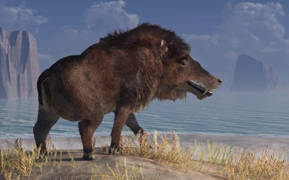 9 Of The Largest Predators In Earth's History