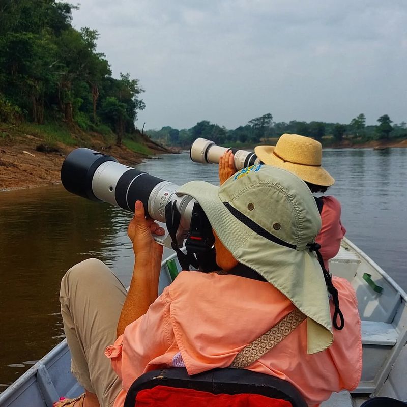 27 Of The Most Incredible Animal Experiences You Can Have Around the ...