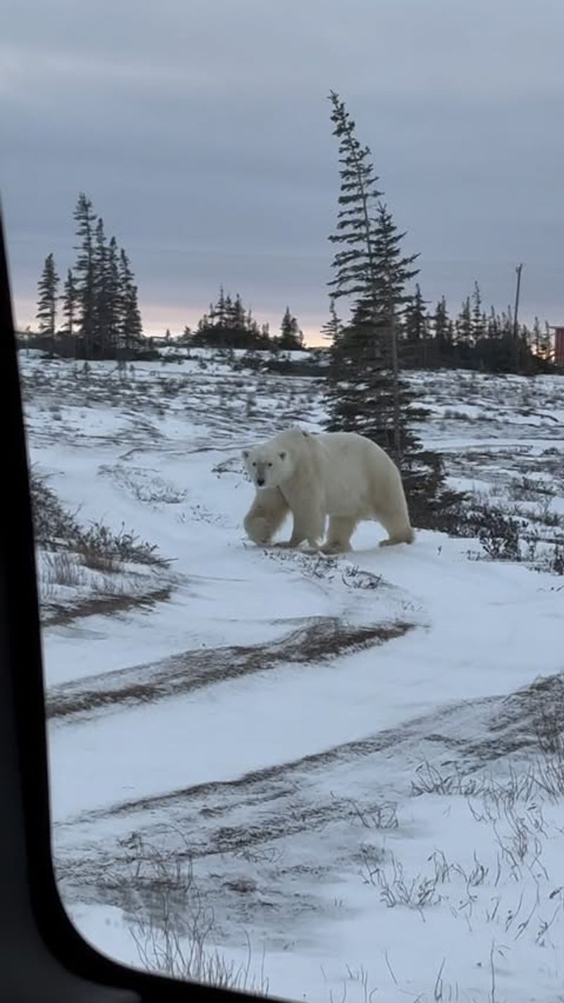 27 Of The Most Incredible Animal Experiences You Can Have Around the ...