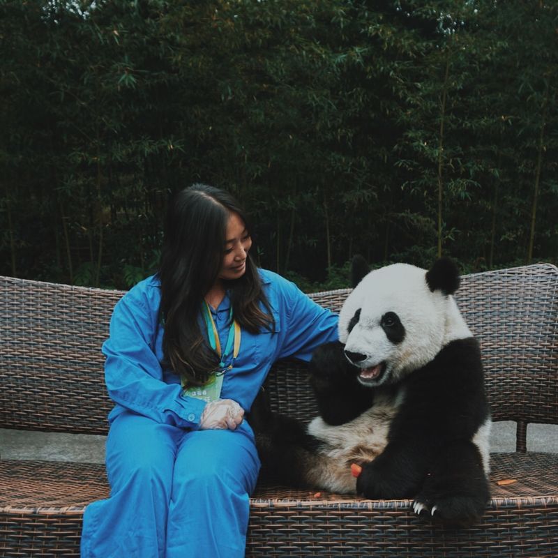 27 Of The Most Incredible Animal Experiences You Can Have Around the ...