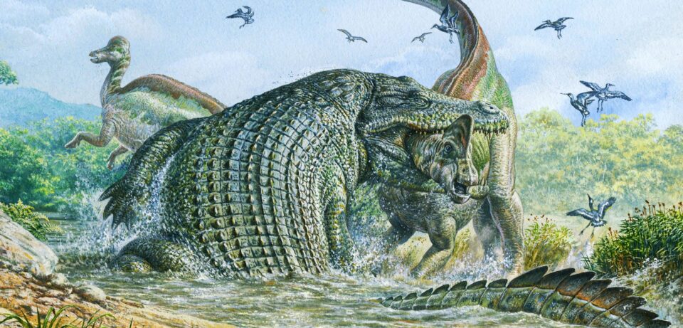 9 Of The Largest Predators In Earth's History