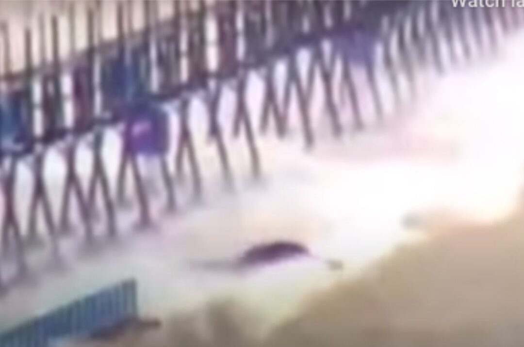 9 Shocking Sea Monsters Ever Caught On Camera