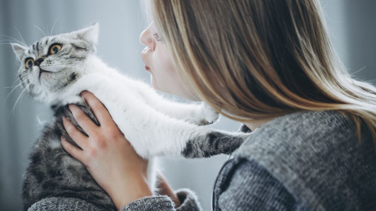 10 Simple Tricks To Help Calm Your Moody Cat