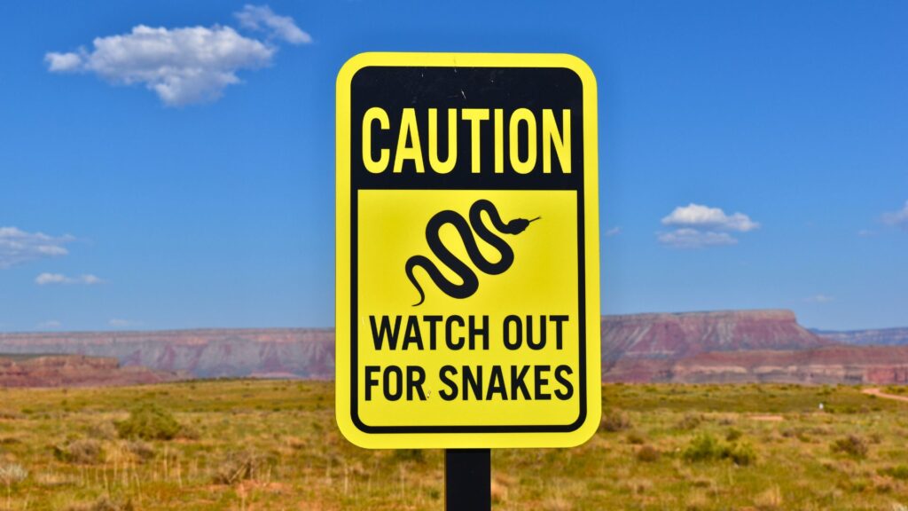12 Most Snake-Infested National Parks In America