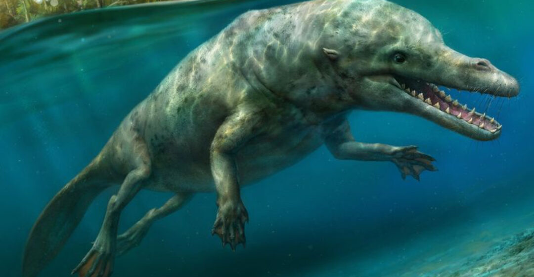19 Extinct Whales That Were More Bizarre Than Any Living Species Today ...