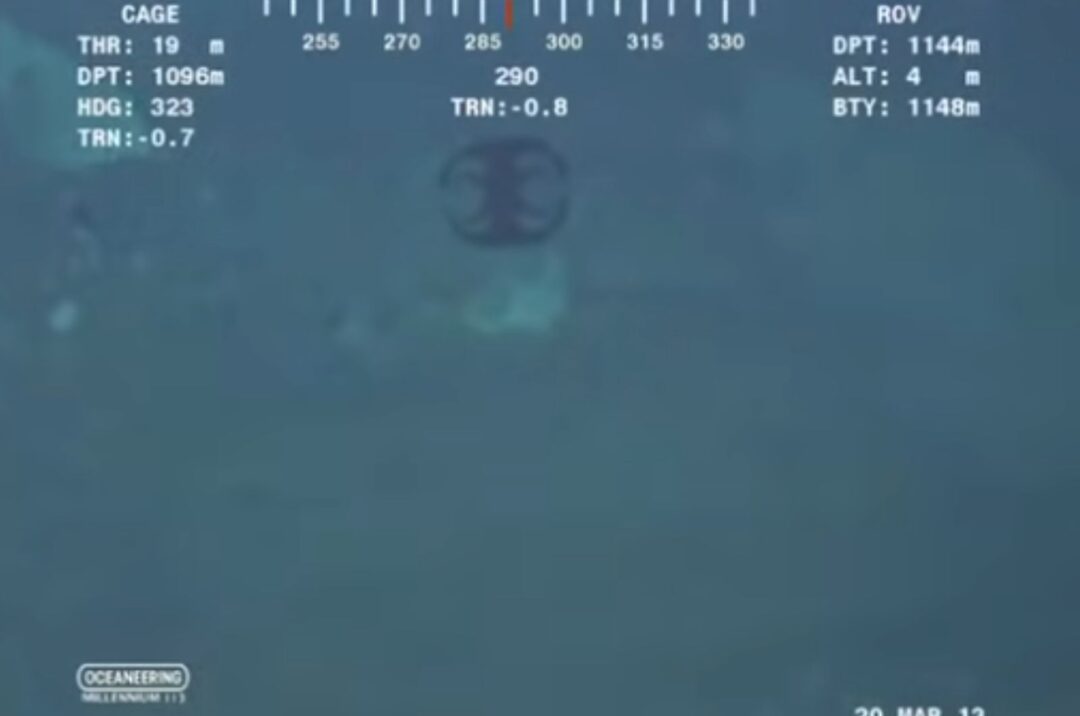 9 Shocking Sea Monsters Ever Caught On Camera