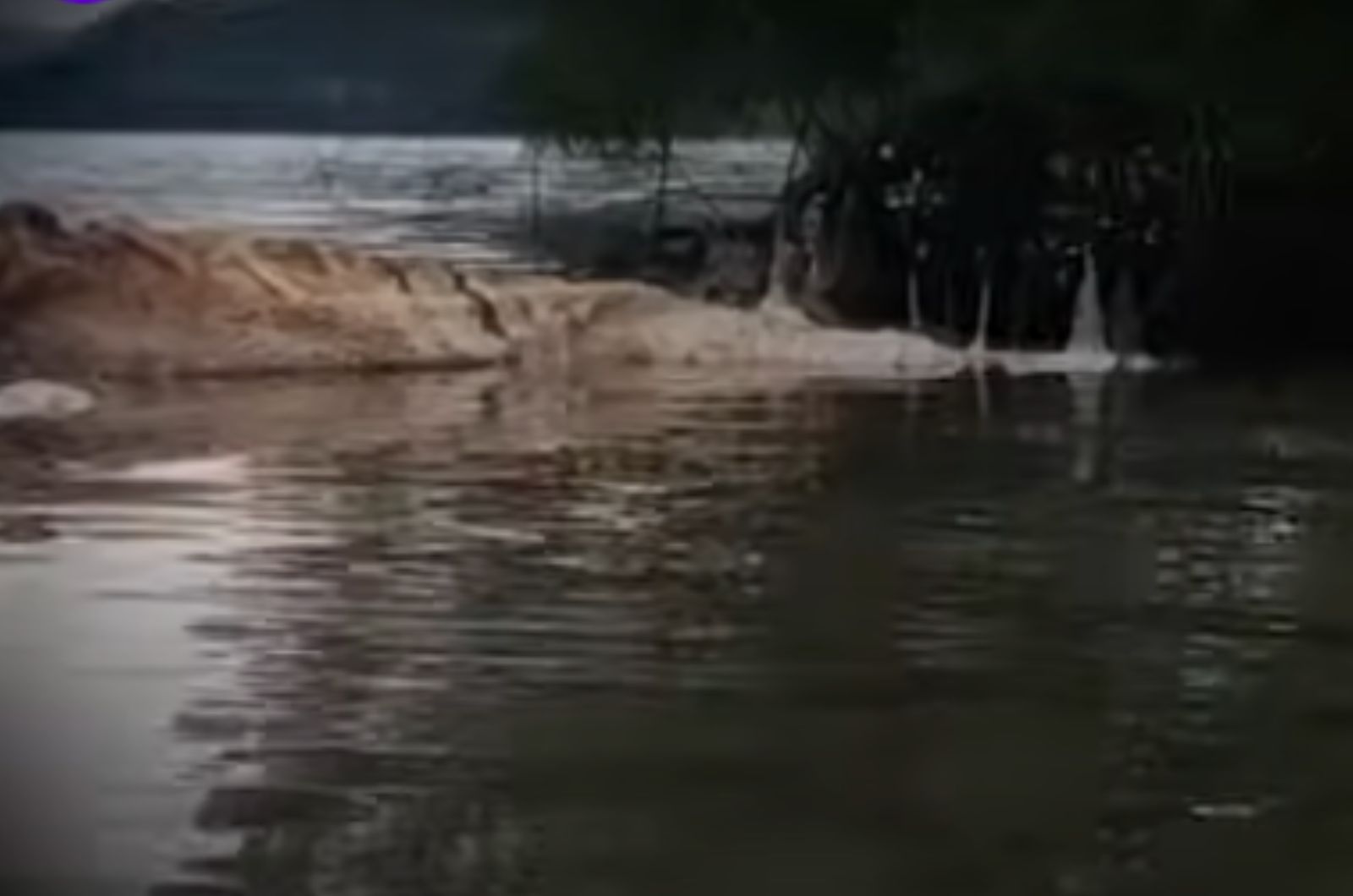 9 Shocking Sea Monsters Ever Caught On Camera