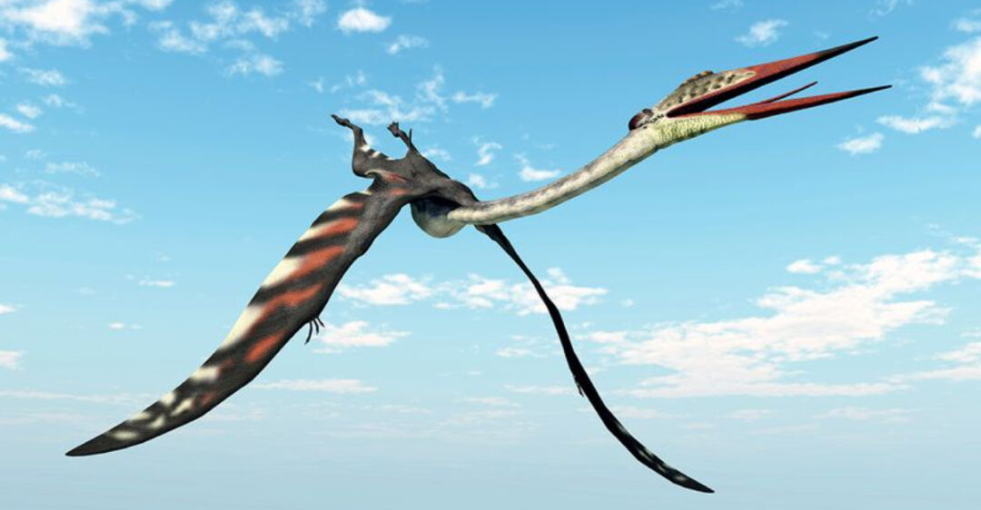 11 Fascinating Facts About Pterosaurs And Their Flight Mechanics