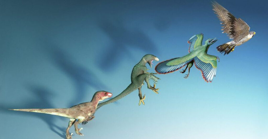 Dinosaurs Never Went Extinct—Are We Unknowingly Living In Their Era?