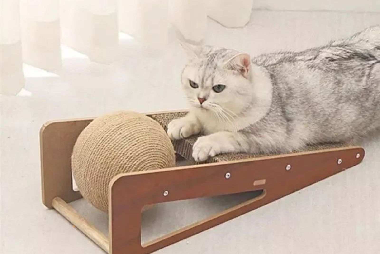 13 Fun And Easy DIY Toys Your Cat Will Adore
