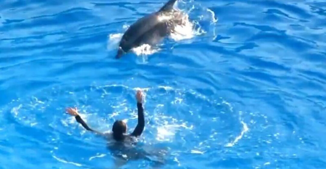 10 Times Wild Animals Saved Humans’ Lives