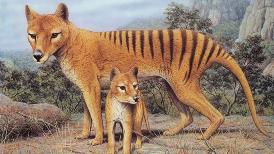 10 Extinct Animals We Wish Could Roam The Earth Again