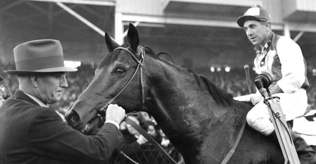 10 Famous Animals That Made History And Captured Hearts