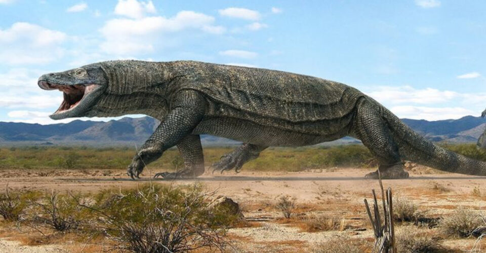 11 Facts About Australia’s Ancient And Legendary Megafauna