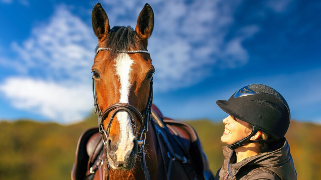 11 Key Indicators Your Horse Is Happy